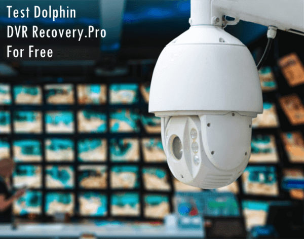 Test Dolphin DVR Free – Dolphin DVR