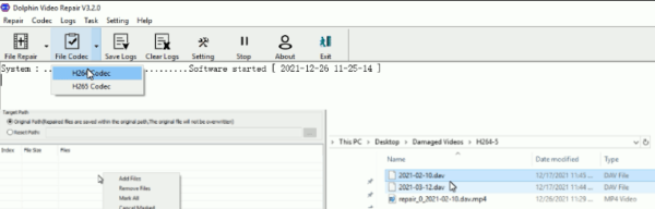 H264 CCTV DVR Corrupted RAW Video Repair Steps - Dolphin DVR
